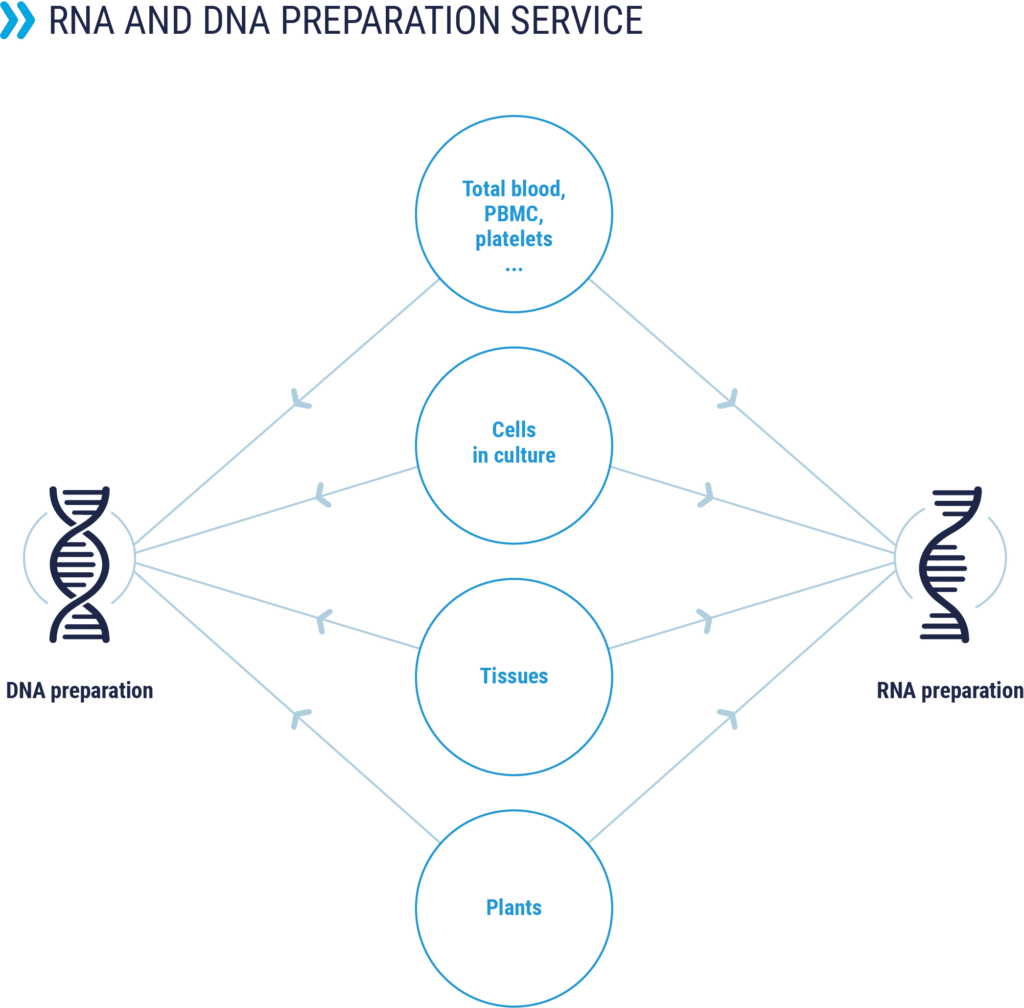 RD-Biotech, cloning and pDNA production services, research, High ...