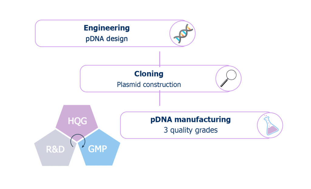 RD-Biotech, a new unit for the DNA plasmid manufacturing, GMP grade